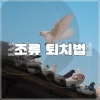 비둘기퇴치 아파트 베란다 실외기 새 알 망 조류 용품 다이소 보다 좋았던 제품 네이버 블로그